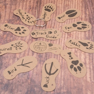 Animal Tracks ID Guide - Perfect for Forest School, Child Minder, Home ...