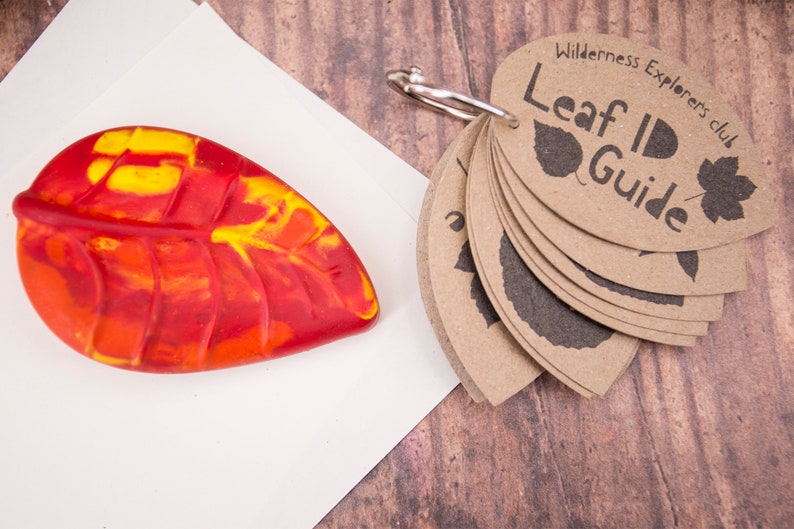 Leaf Rubbing Kit Large Leaf Crayon With Leaf ID Guide - Etsy