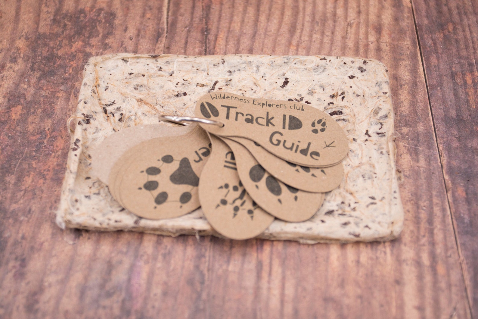 Animal Tracks ID Guide Perfect for Forest School Child - Etsy
