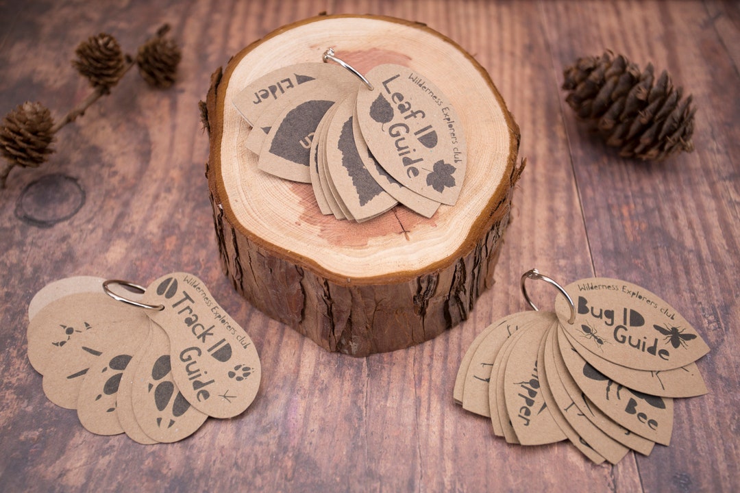 Leaf, Bug & Tracks ID Guides: Forest School Nature Set - Etsy