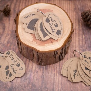 Animal Tracks ID Guide Perfect for Forest School, Child Minder, Home Ed ...