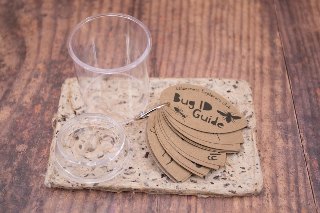 Bug ID Guide & Magnifying Viewer - Perfect for Forest School, Child ...