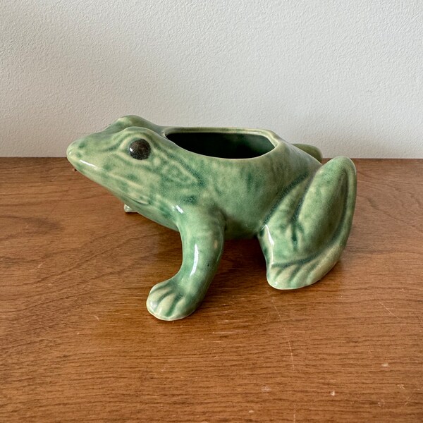 Frog Planter - Etsy