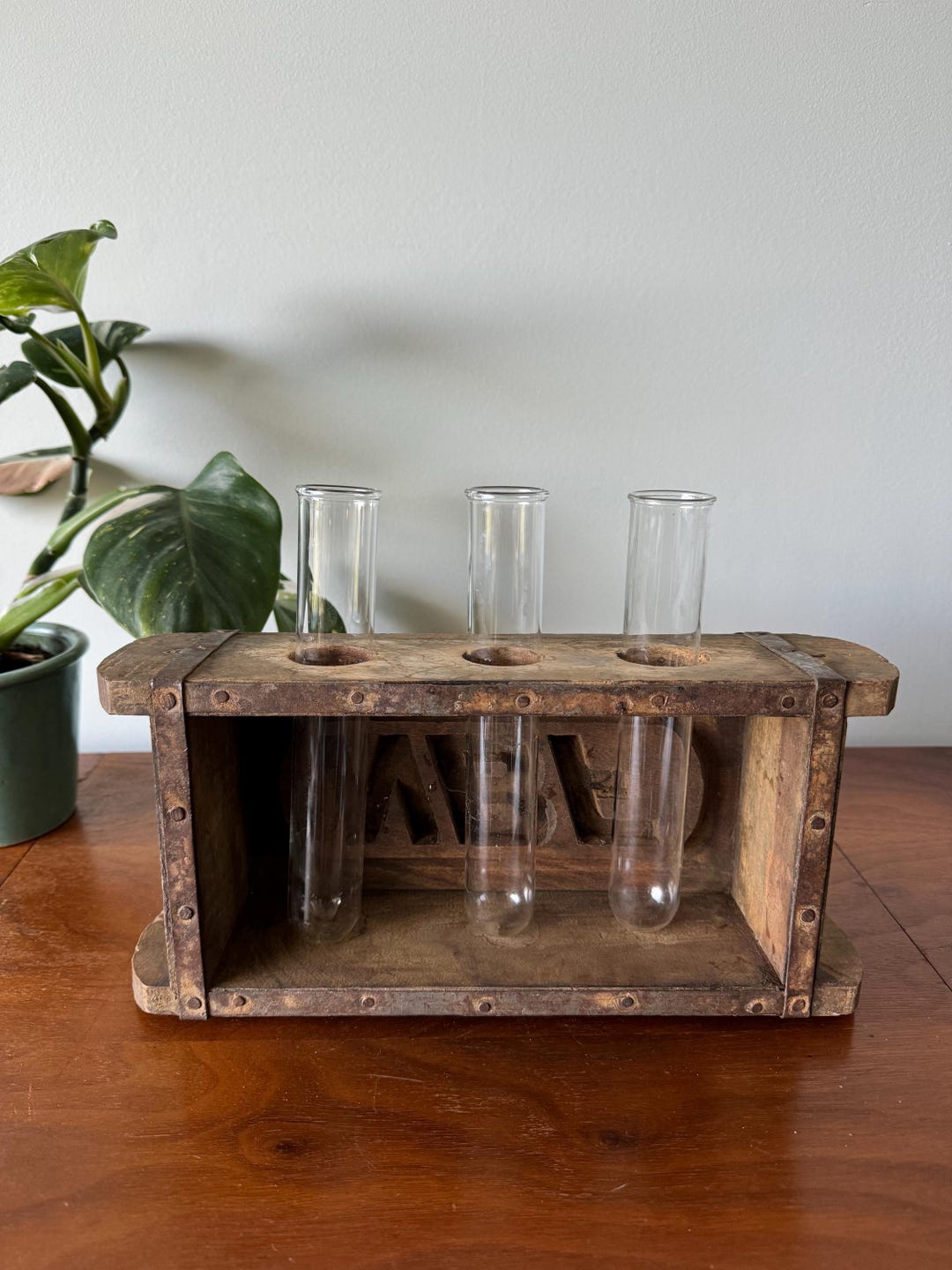 Vintage Brick Mold Made Into a Propagation Station for Plants With ...