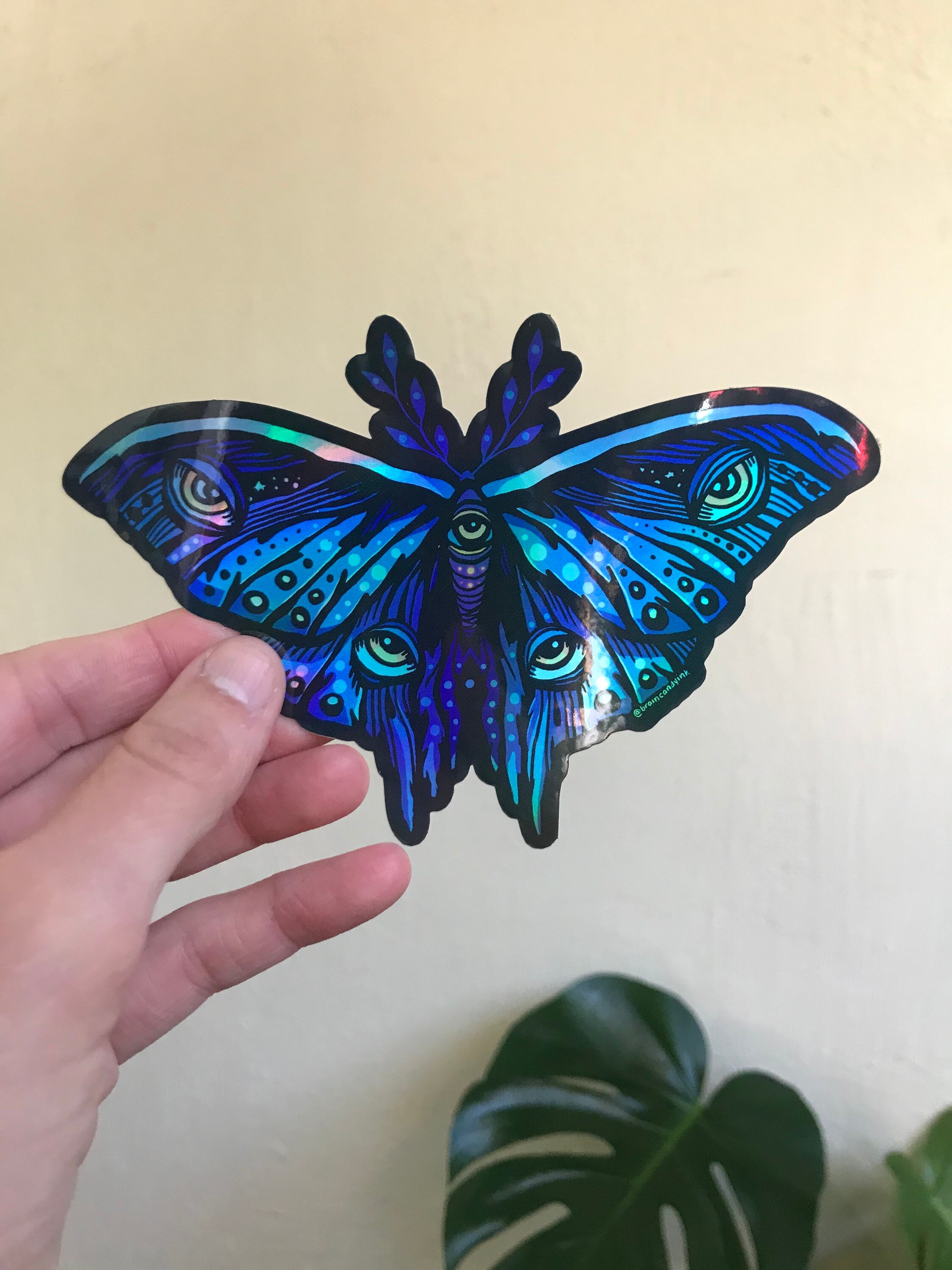 Psychedelic Moth