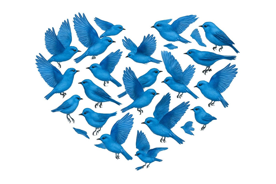 A Flock of Blue Jays Form the Shape of a Heart. - Etsy