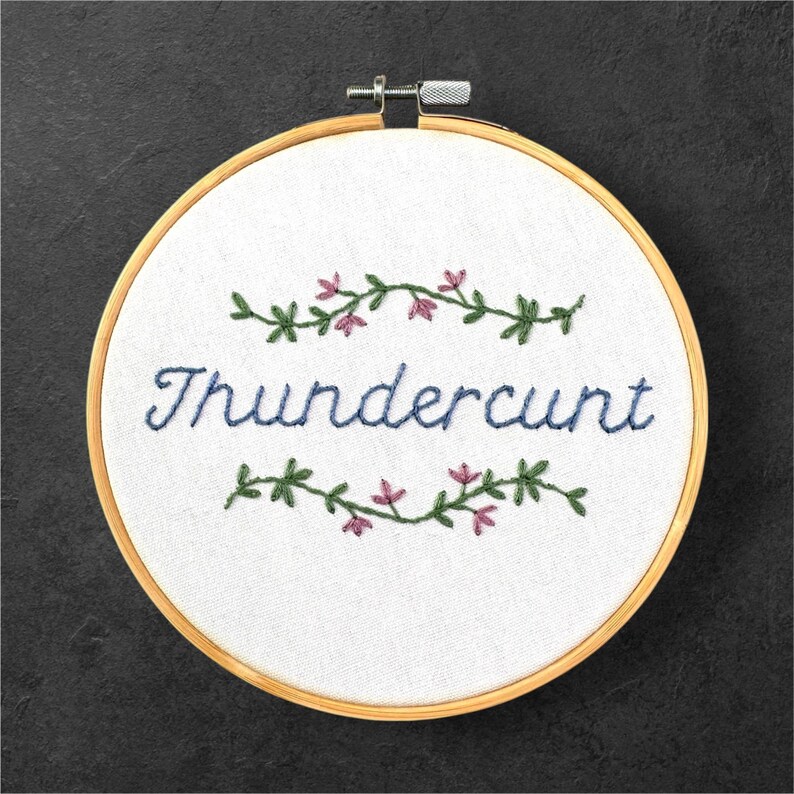Rude Embroidery Hoop Art, “thunderc*nt” Wall Art, Funny Dark Humor ...