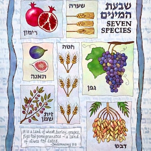 Shivat Haminim II Seven Species Archival Print From Original Art - Etsy