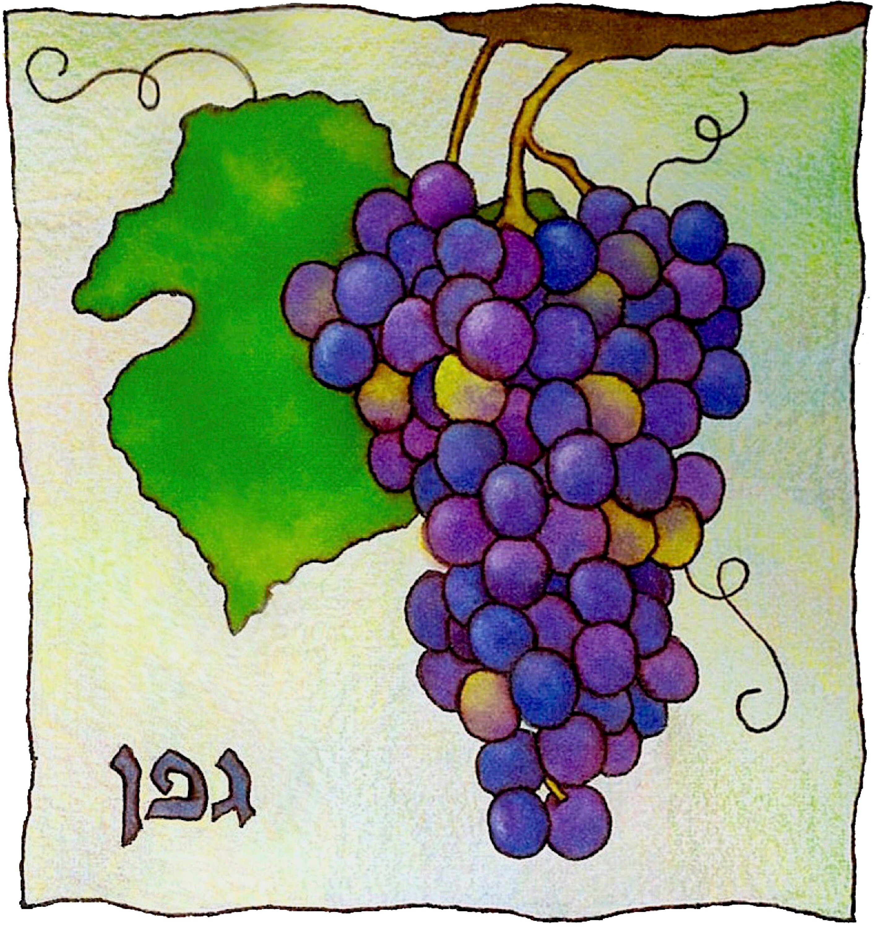 Shivat Haminim II Seven Species Archival Print From - Etsy