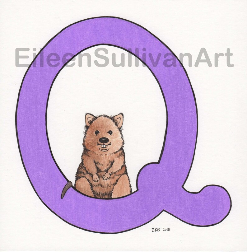 Q is for Quokka - Etsy