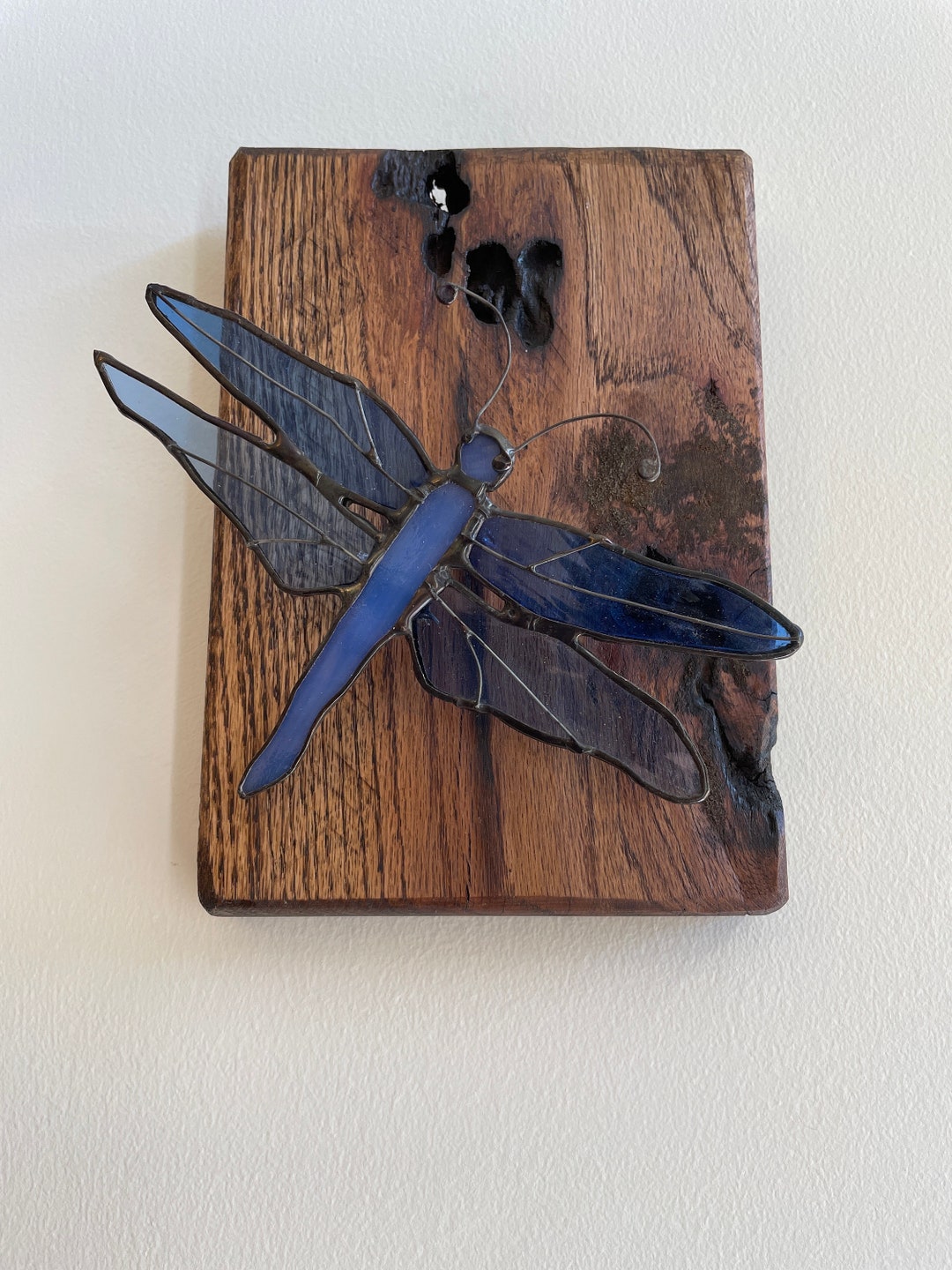 Dragonfly on Unique Oak Mount Wall Art, Dragonfly Lover Gift, Nature ...