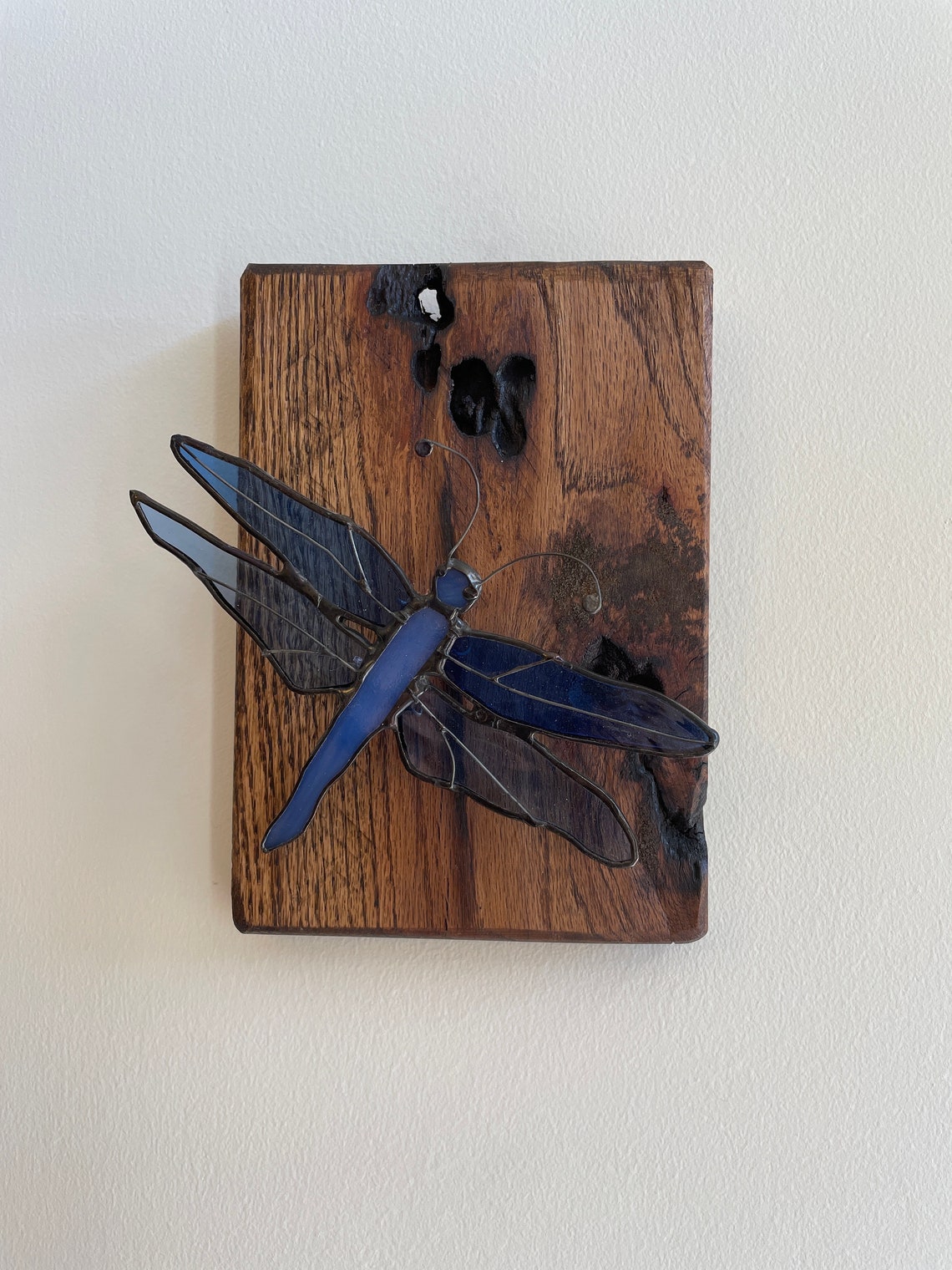 Dragonfly on Unique Oak Mount Wall Art, Dragonfly Lover Gift, Nature ...