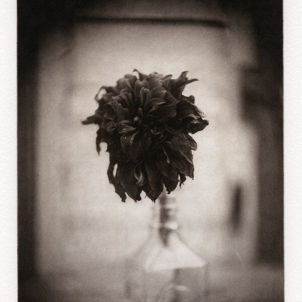 Photogravure Print - Etsy