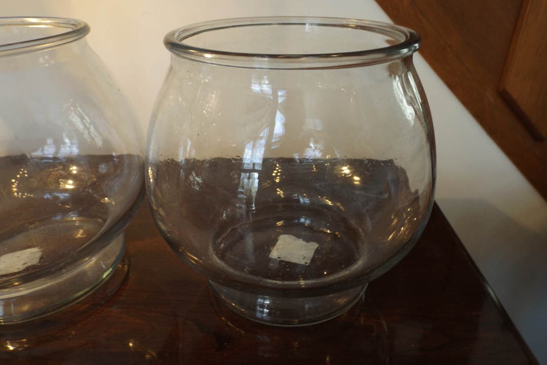 One Clear Glass Fish Tank,bowl Fish Aquarium. Mint. Great for Real or ...