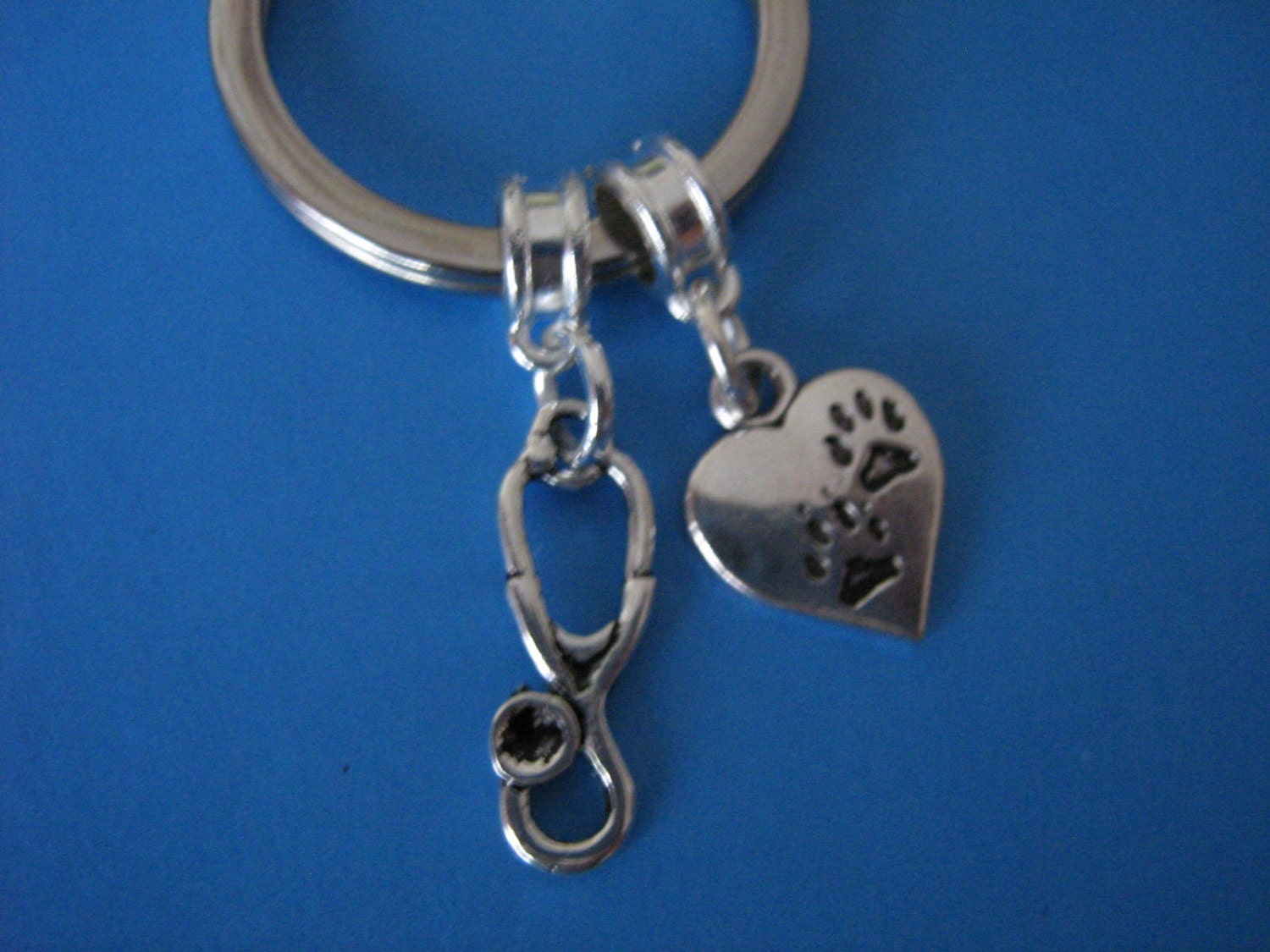 Vet Keyring Vet Tech Keychain Veterinary Gift Stethoscope | Etsy