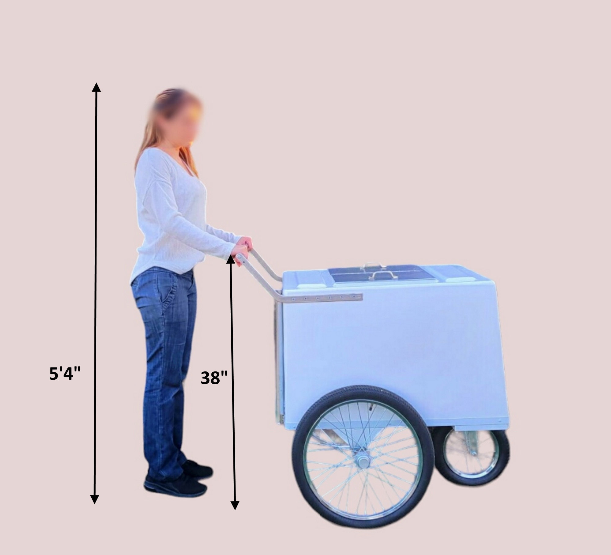 Popsicle Cart With XL Flip Door - Etsy