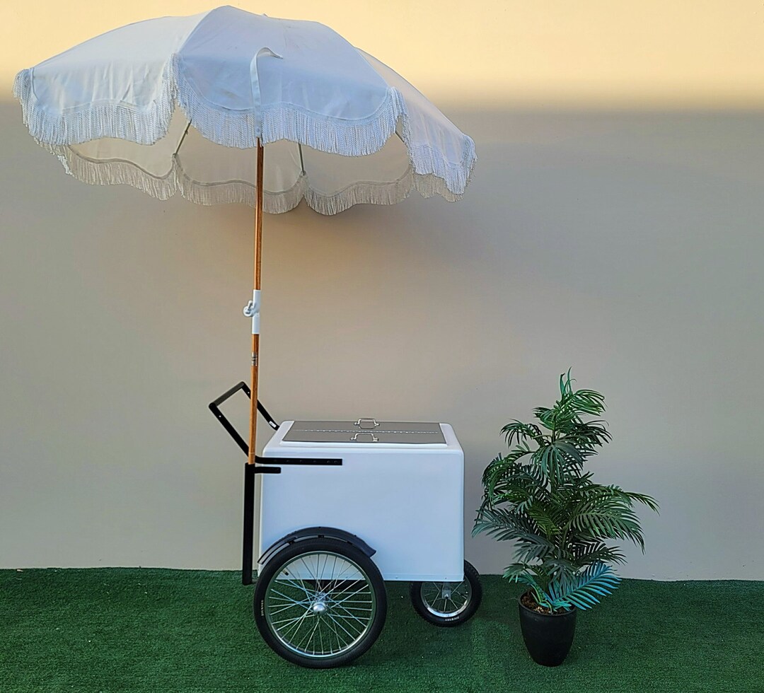 Popsicle Cart With XL Flip Door - Etsy