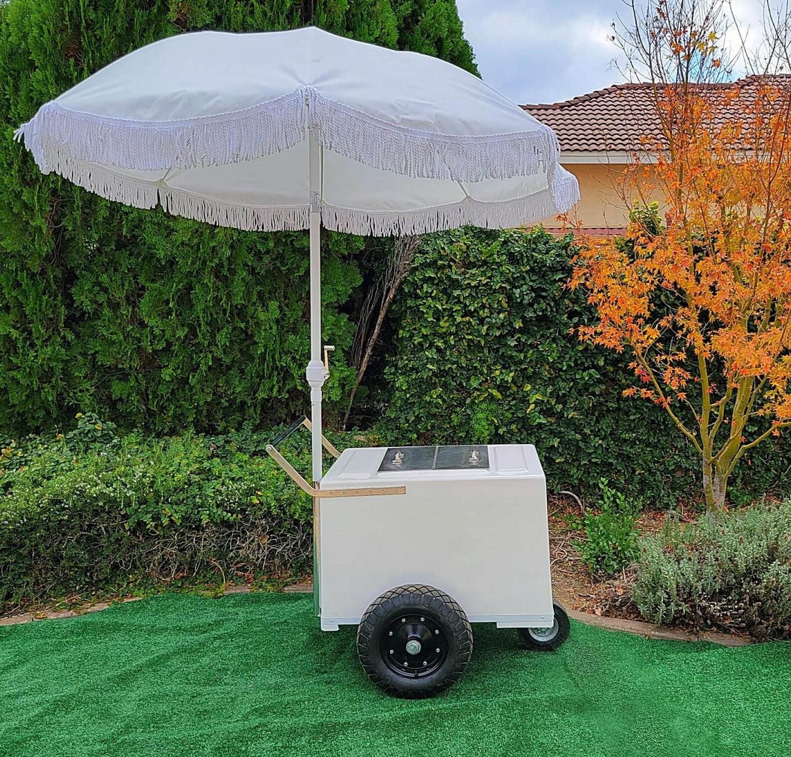 Classic Paleta Cart, Popsicle Cart, Ice Cream Cart Standard Size, White ...