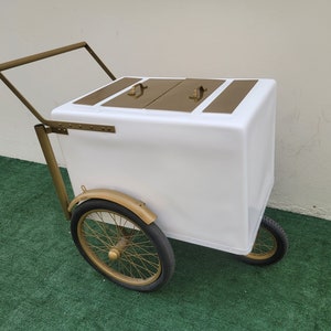 Popsicle Cart, Paleta Cart, Ice Cream Cart With Bicycle Tires, 3 Top ...