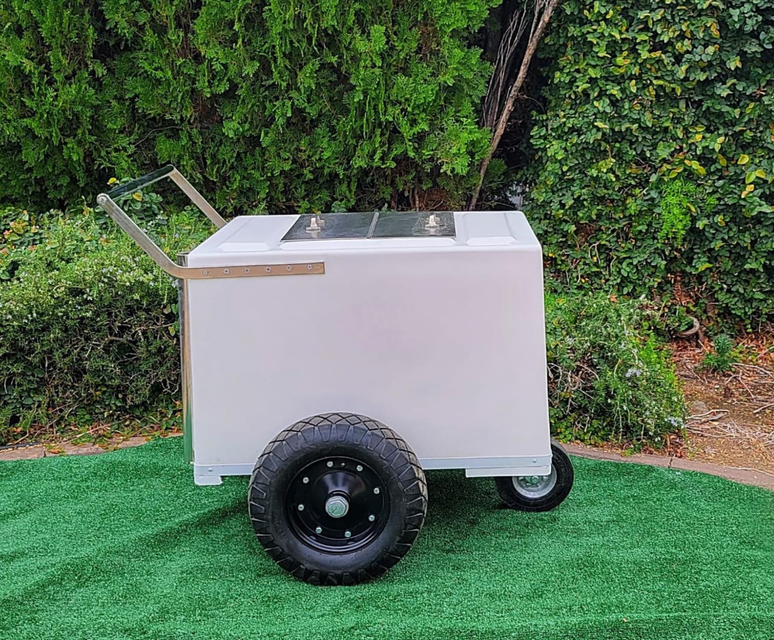 Classic Paleta Cart, Popsicle Cart, Ice Cream Cart Standard Size, White ...