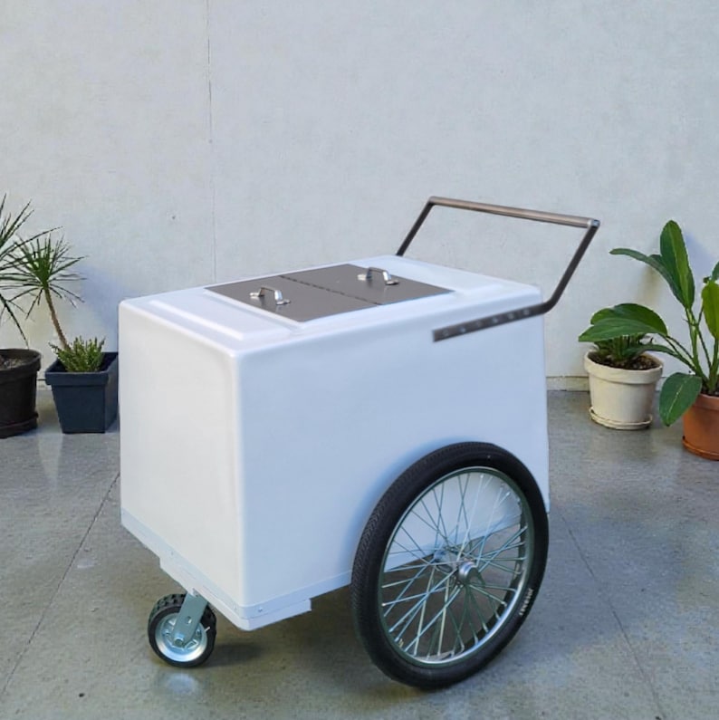 Standard Size White Paleta Cart, Popsicle Cart, Ice Cream Cart With ...