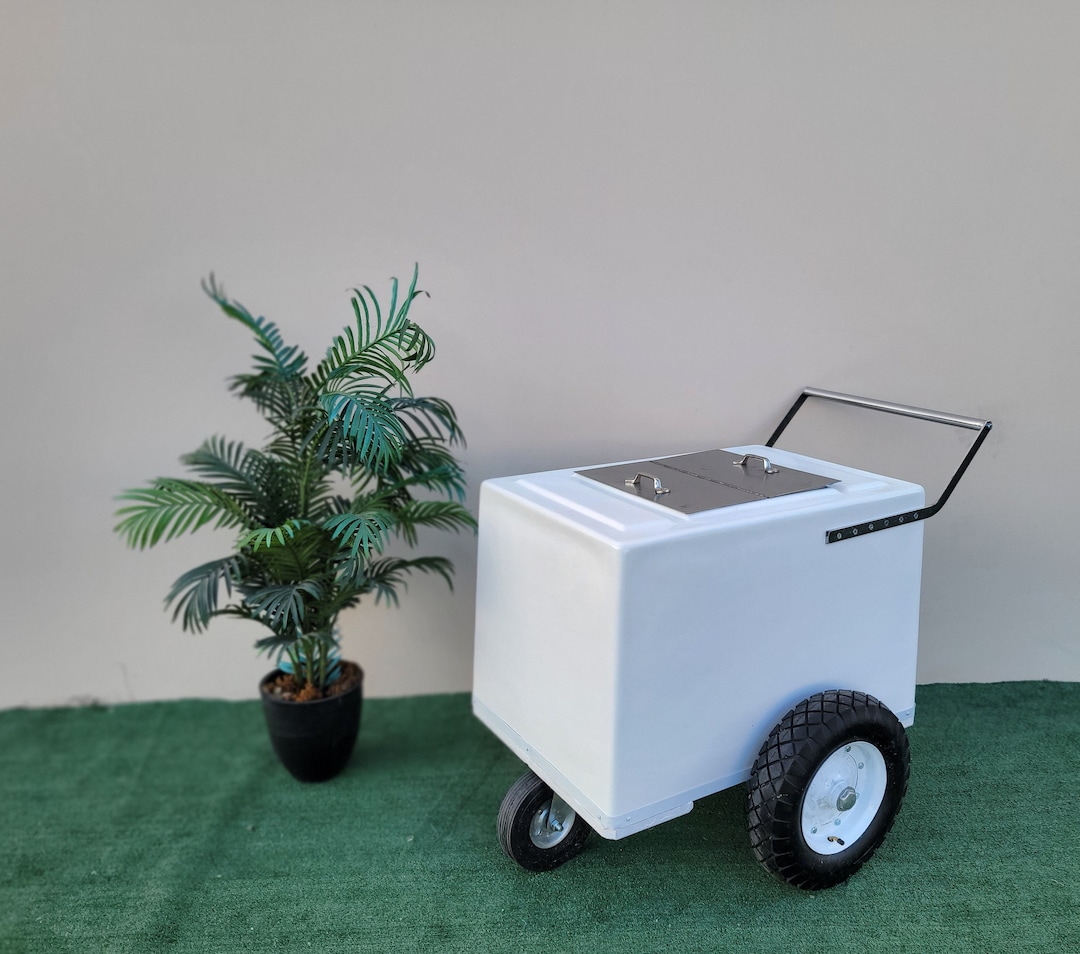 Classic Paleta Cart, Popsicle Cart, Ice Cream Cart Standard Size, White ...