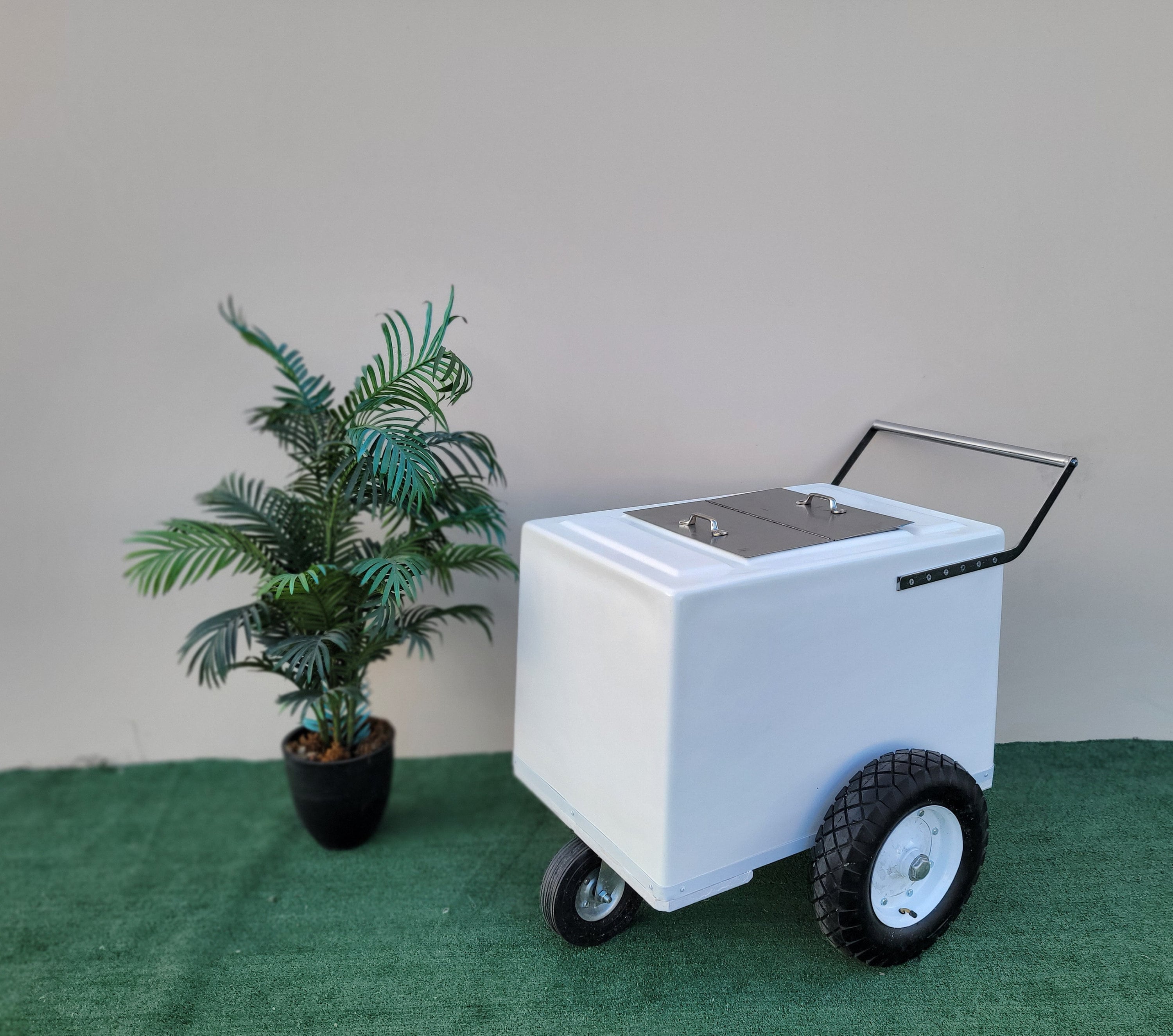 Classic Paleta Cart, Popsicle Cart, Ice Cream Cart Standard Size, White ...