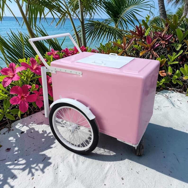 Pink W/ White Trim Paleta Cart, Popsicle Cart, Ice Cream Cart - Etsy