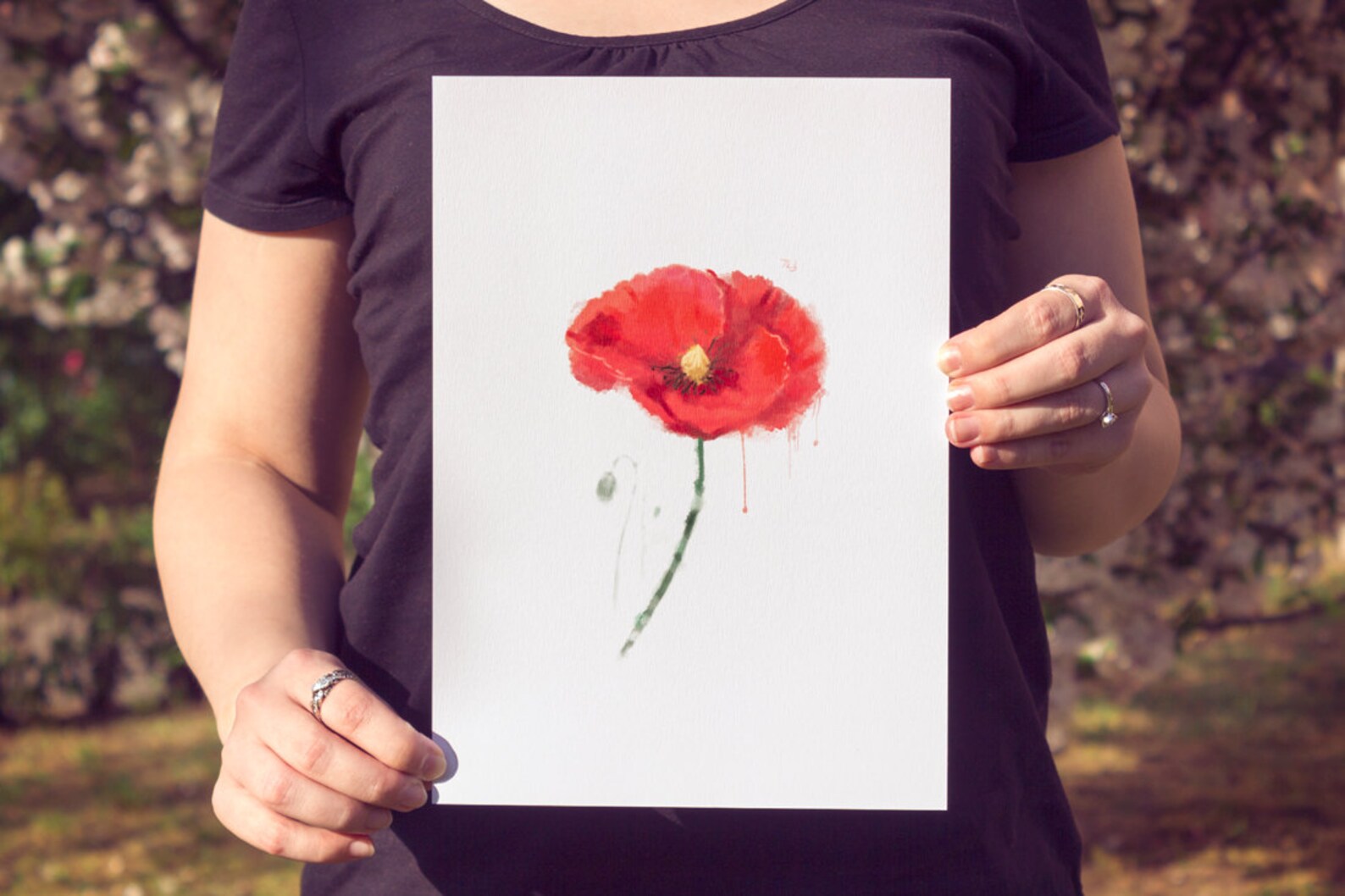 Red Poppy Print Watercolor Poppy Art Poster Large Floral | Etsy