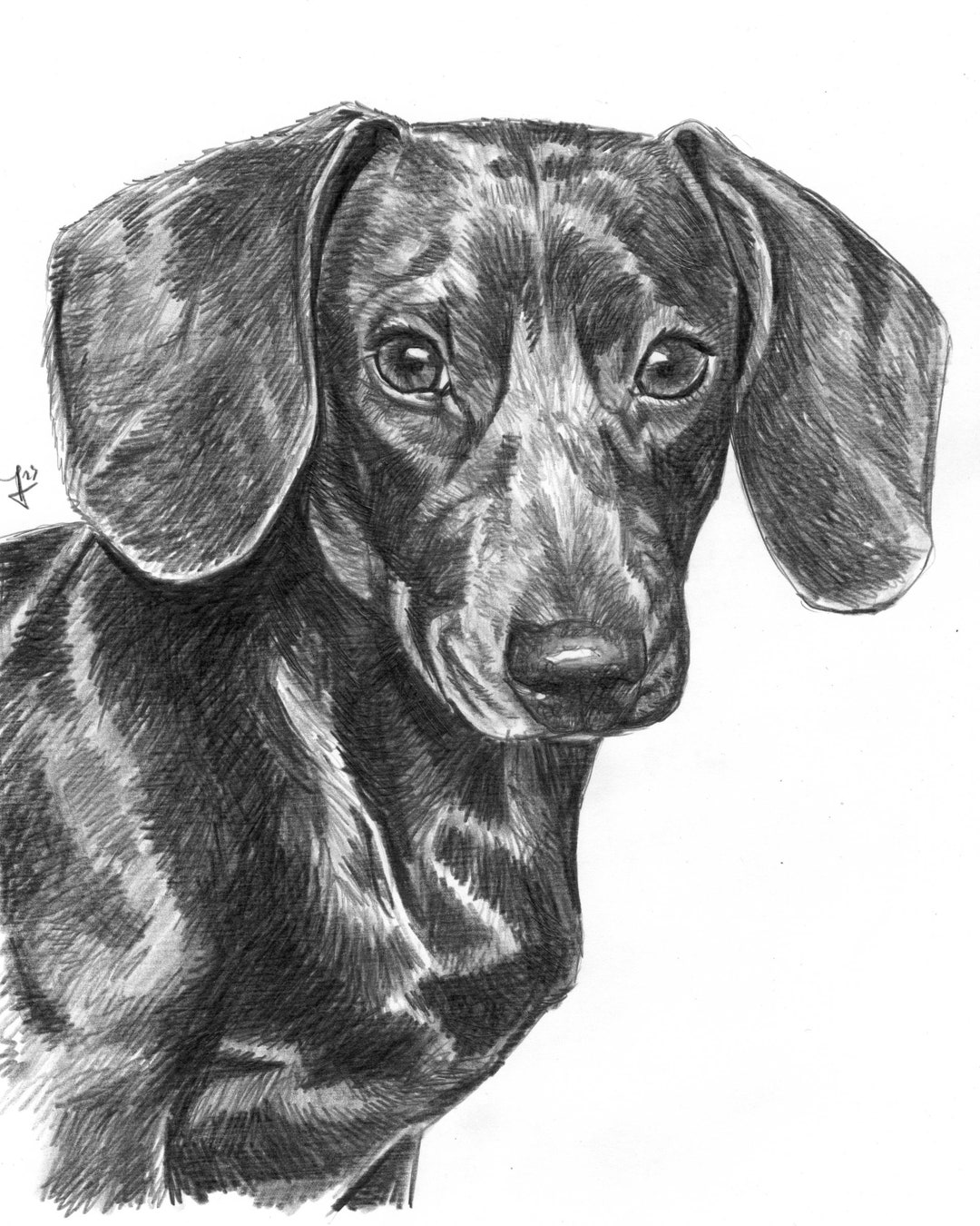 Custom Dog Portrait Drawing, Pet Loss Gift, Pet Remembrance, Dog ...