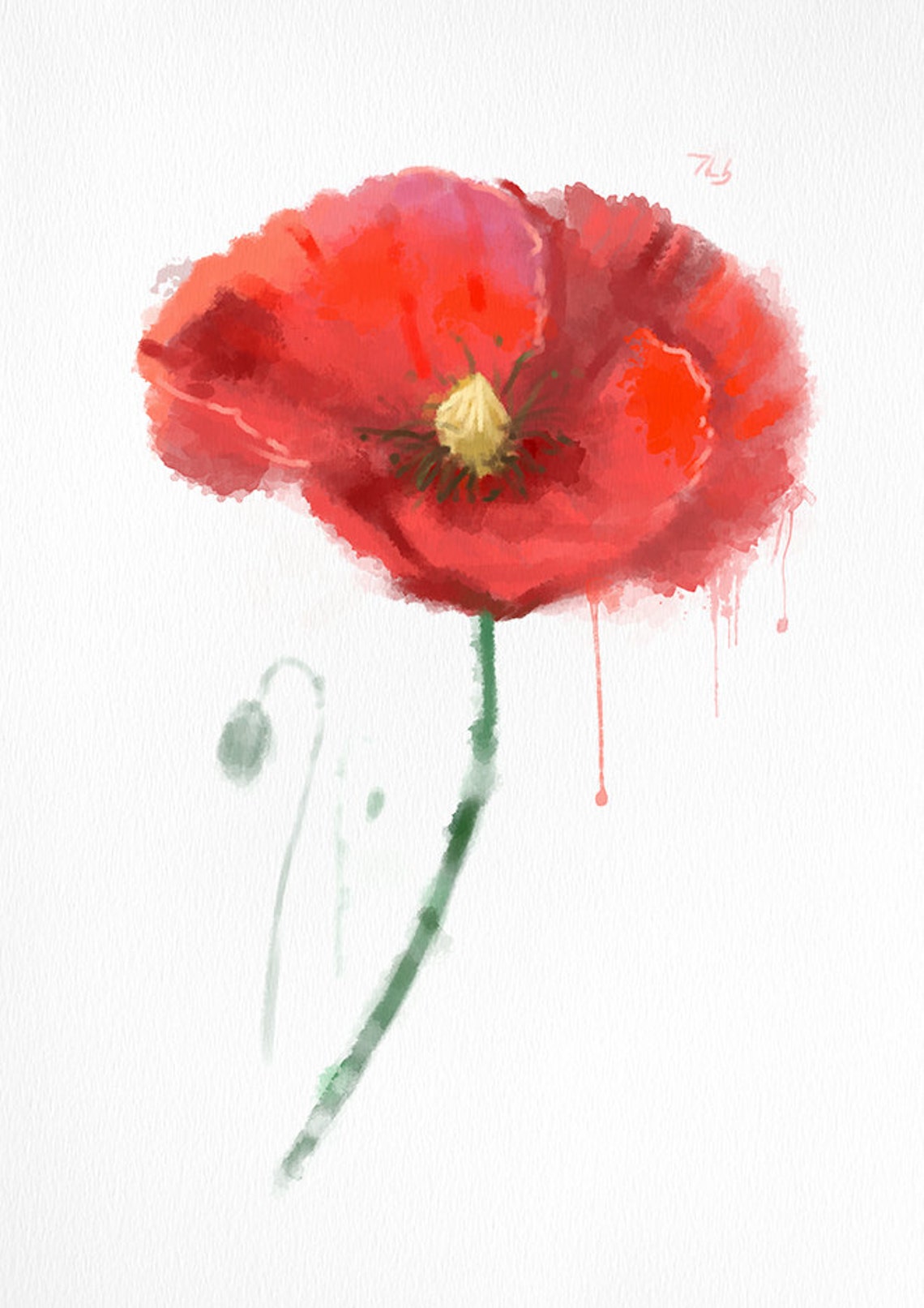 Red Poppy Print Watercolor Poppy Art Poster Large Floral | Etsy