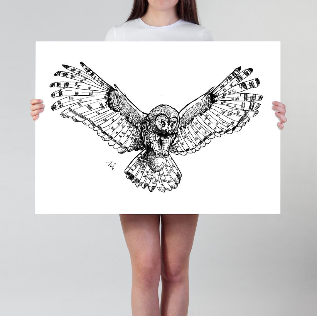 How To Draw A Flying Owl