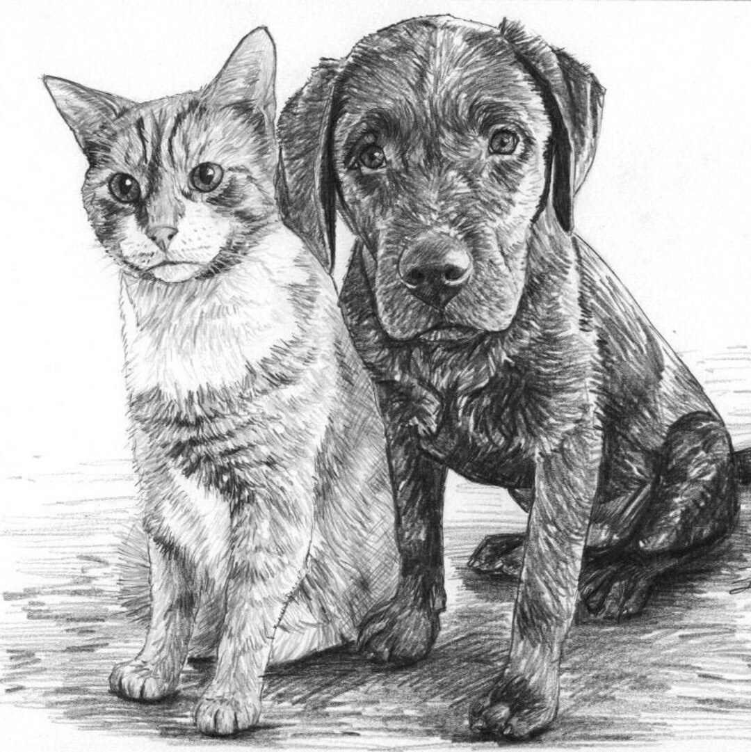 Pet Sketch Gift | Custom Dog Portrait Pet Portrait From Photo | Cat ...