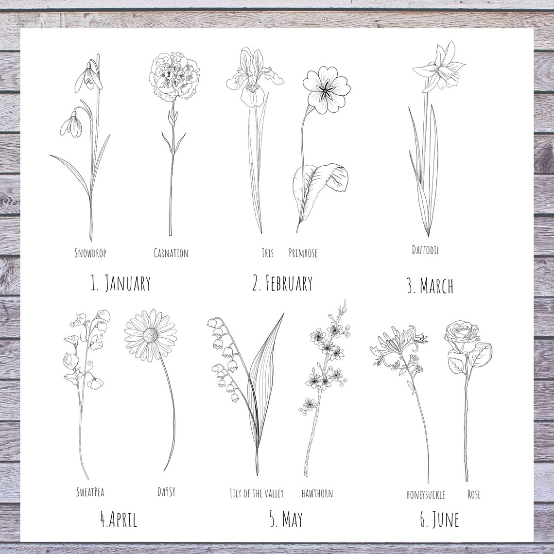 Up to 8 Flowers Custom Birth Month Flower Bunch Sketch - Etsy