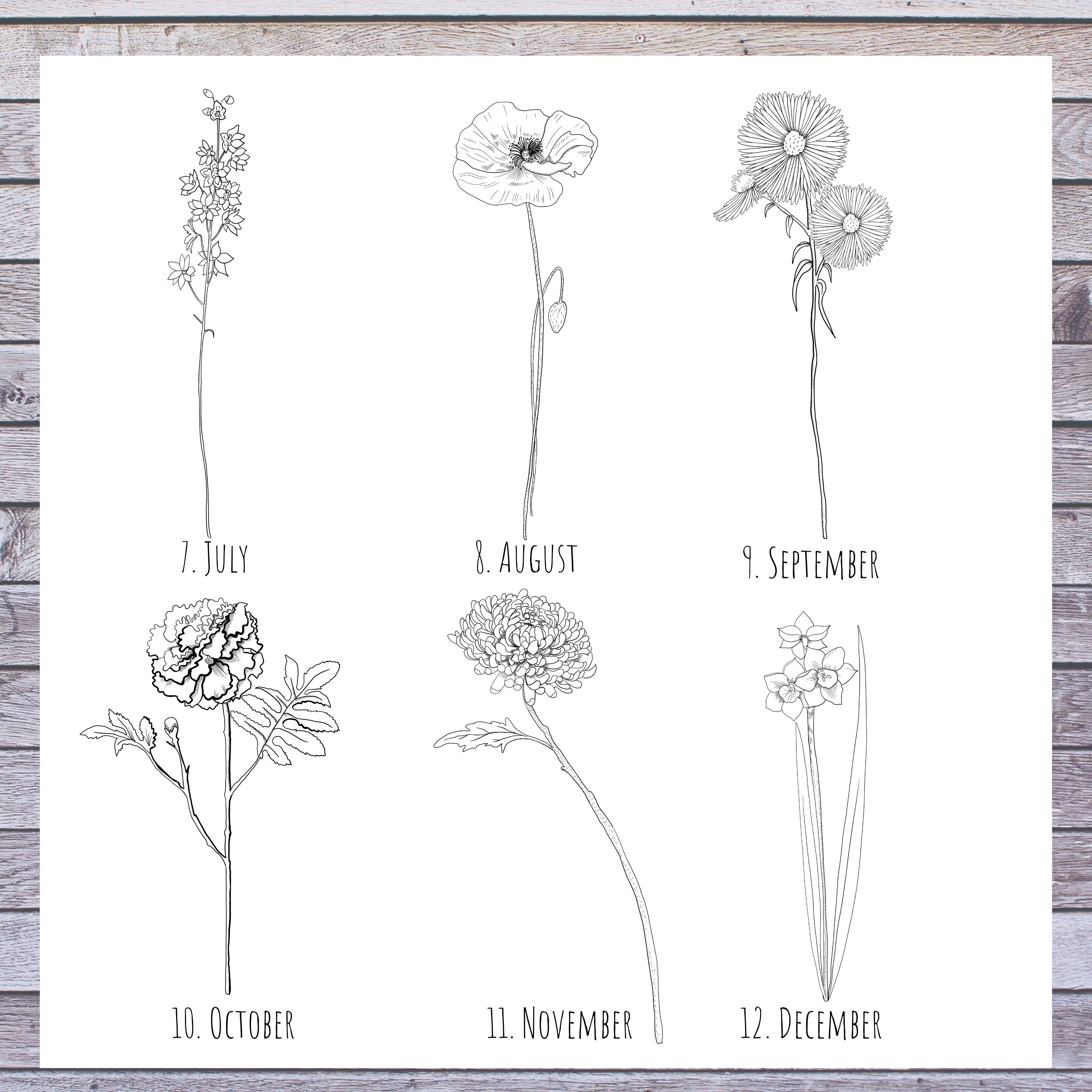 Personalized Family Birth Flower Illustration Hand | Etsy