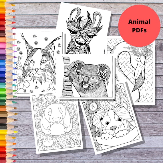 Animal Coloring Page Printable Pdfs Instant Download Kids | Etsy