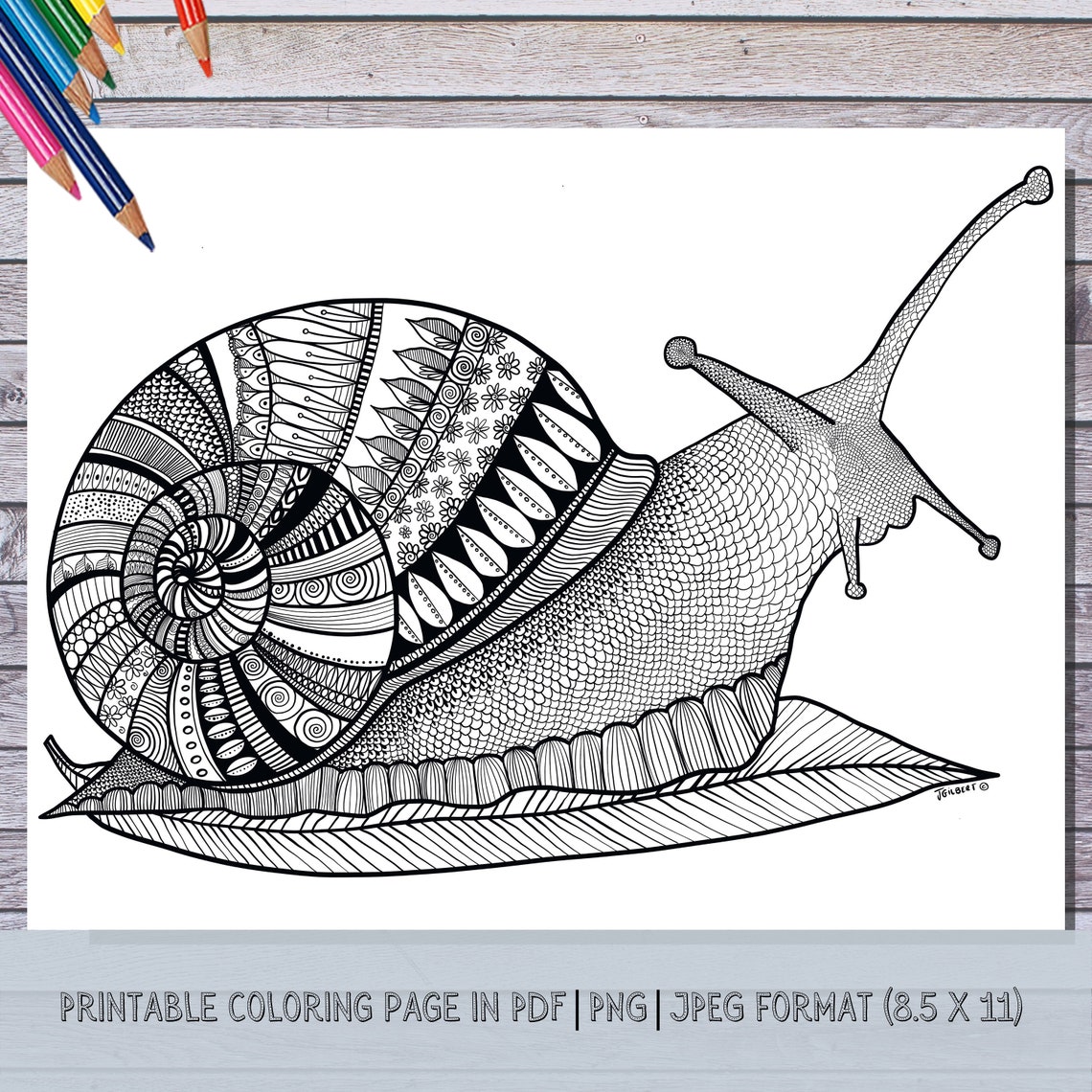 Snail Coloring Page, Hand Illustrated, Instant Download, Print & Color ...