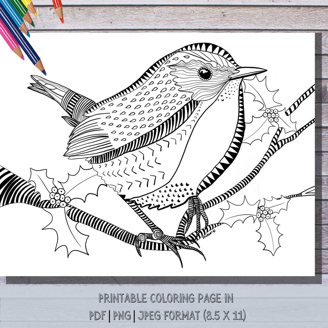 Winter Bird, Printable Christmas Coloring Page, Hand Illustrated ...