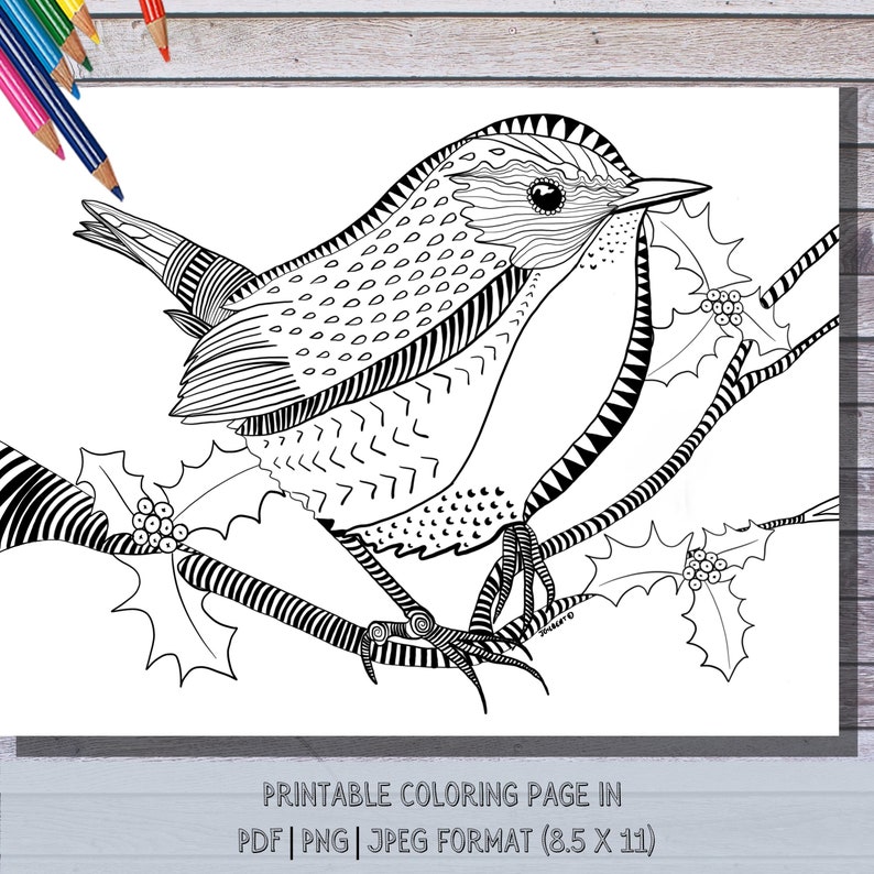 Winter Bird, Printable Christmas Coloring Page, Hand Illustrated ...