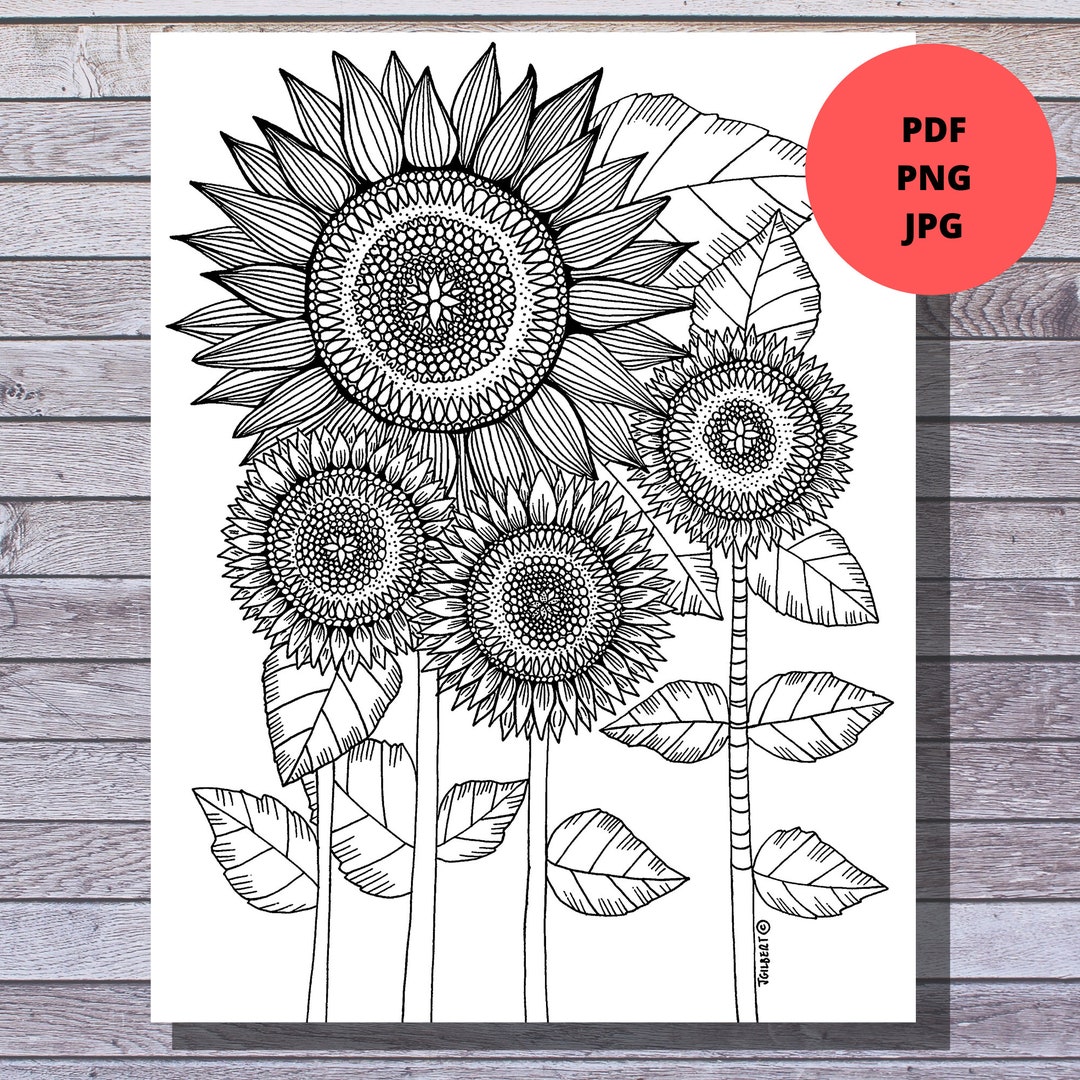 Printable Coloring Page | Sunflower | Floral Spring Coloring Page ...