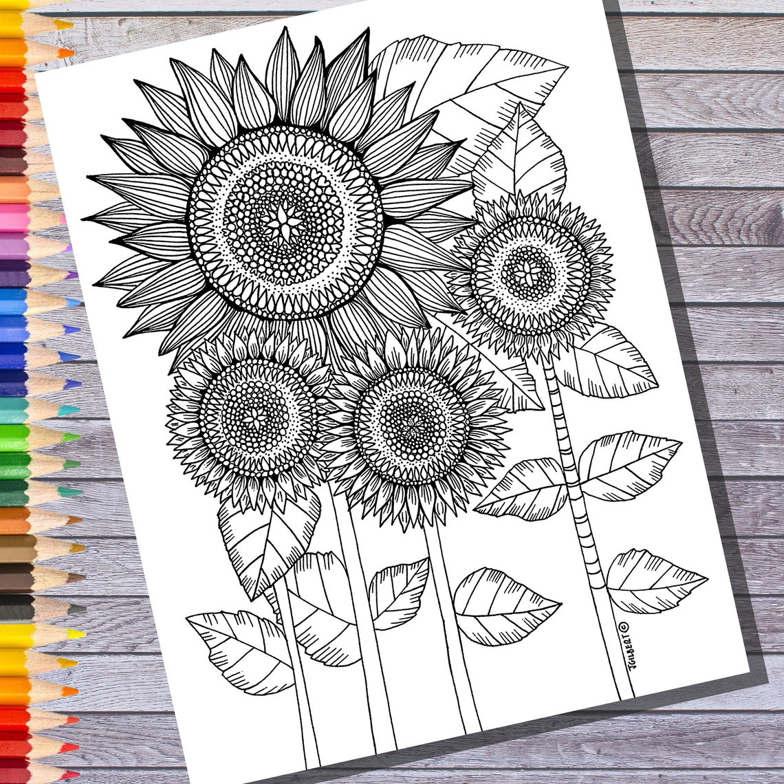 Printable Coloring Page Sunflower Floral Spring Coloring | Etsy
