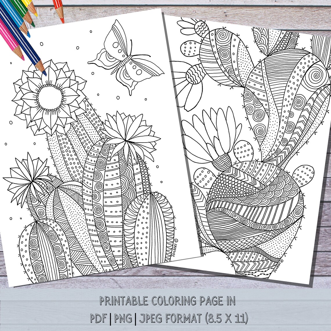 Printable Coloring Page Cactus Flowers Coloring Pages - Etsy