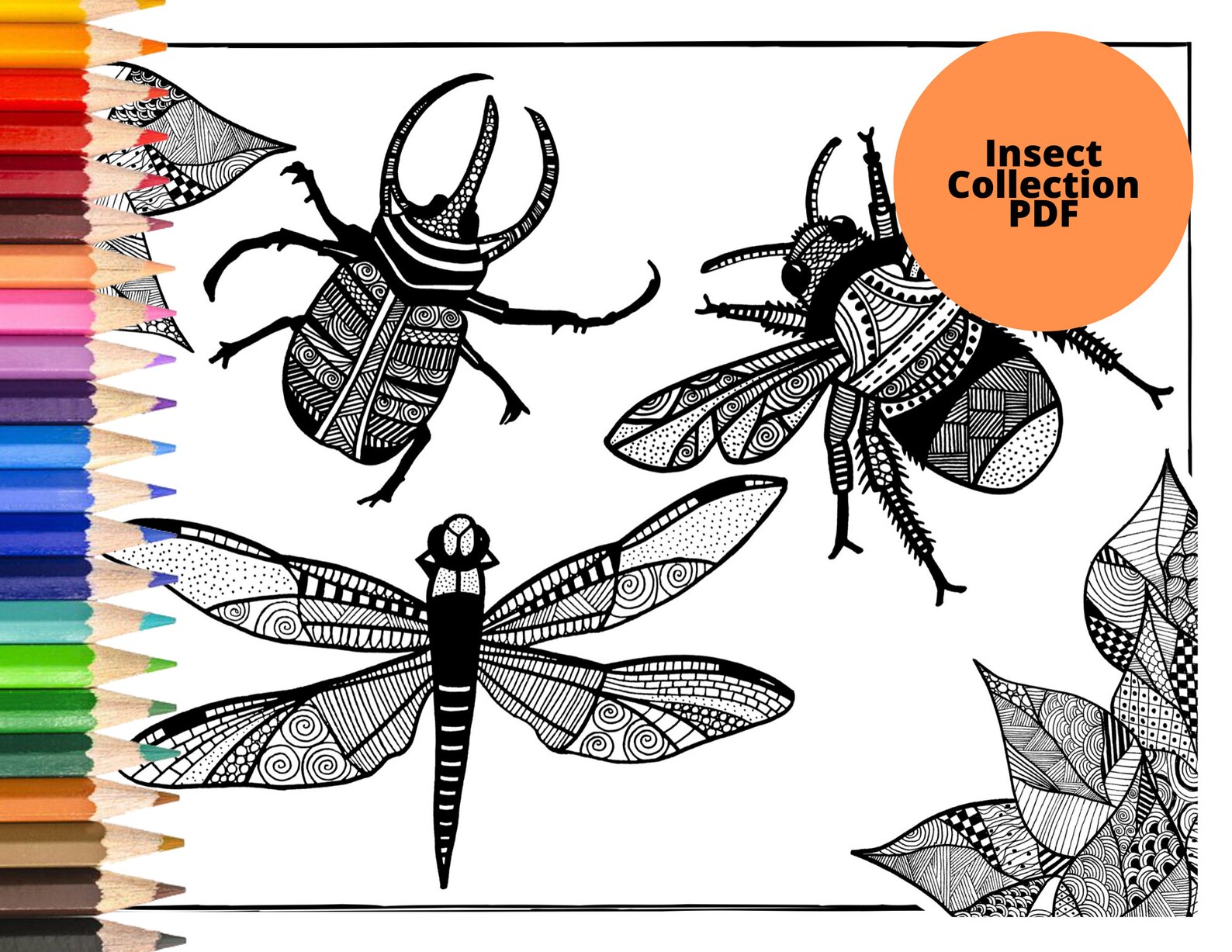 INSECT Coloring Pages PDF Download Coloring Book Printable - Etsy