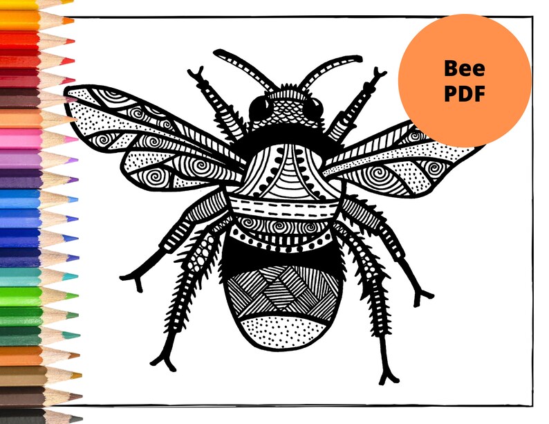 INSECT Coloring Pages PDF Download Coloring Book Printable - Etsy