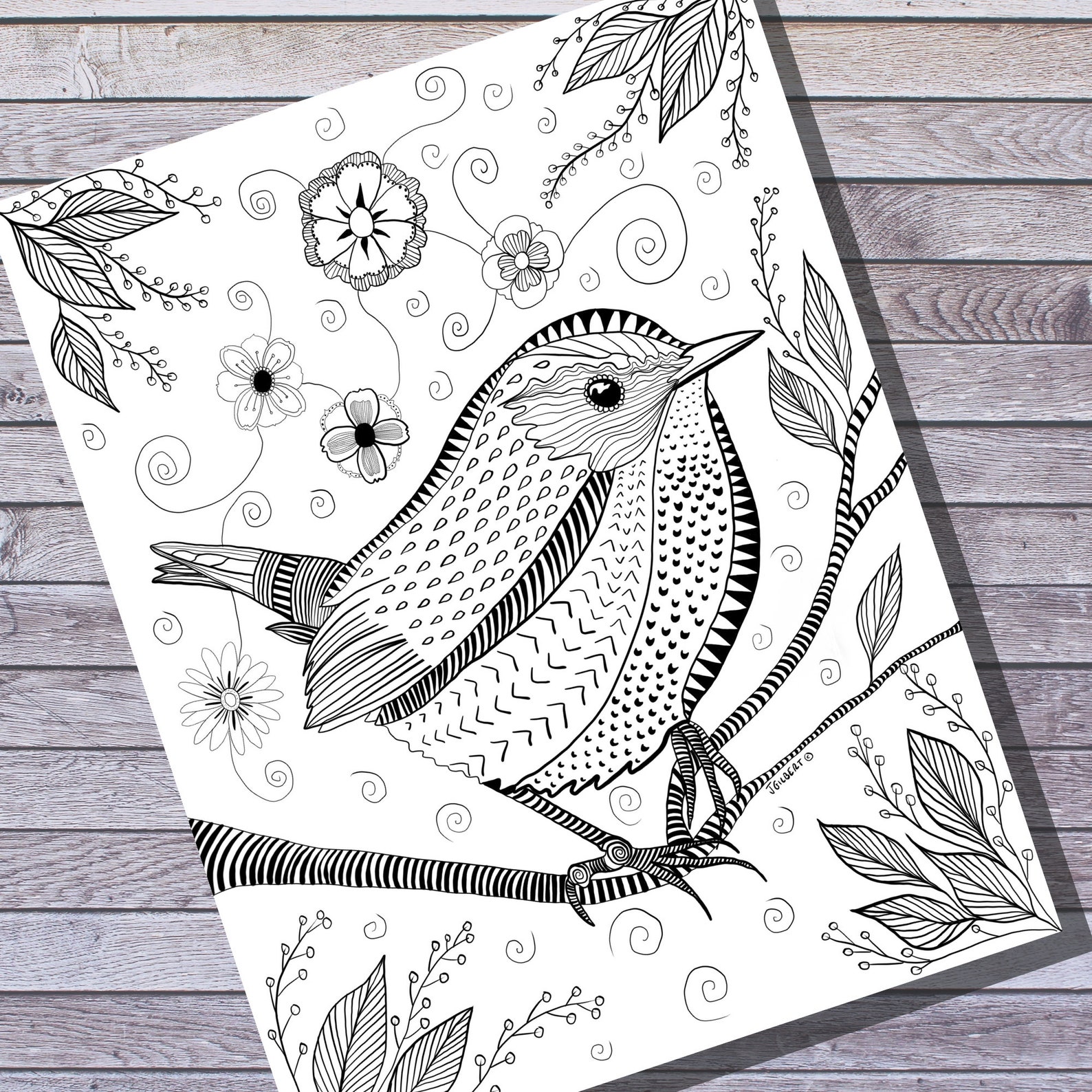 Beautiful Wren, Printable Coloring Page, Hand Drawn, Instant Download ...