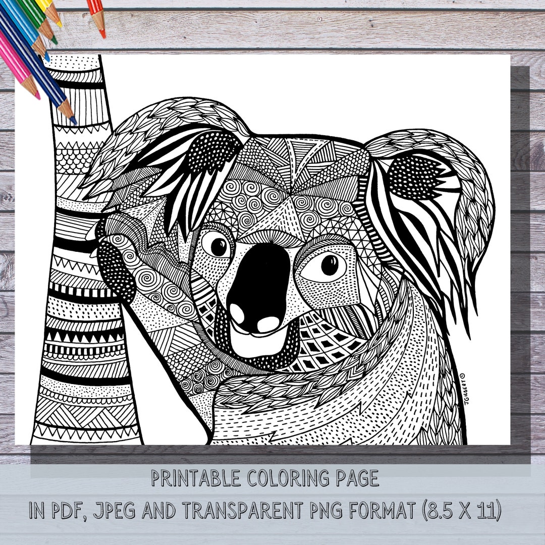 Koala Coloring Page, PDF, PNG and JPEG File Downloads, Printable ...