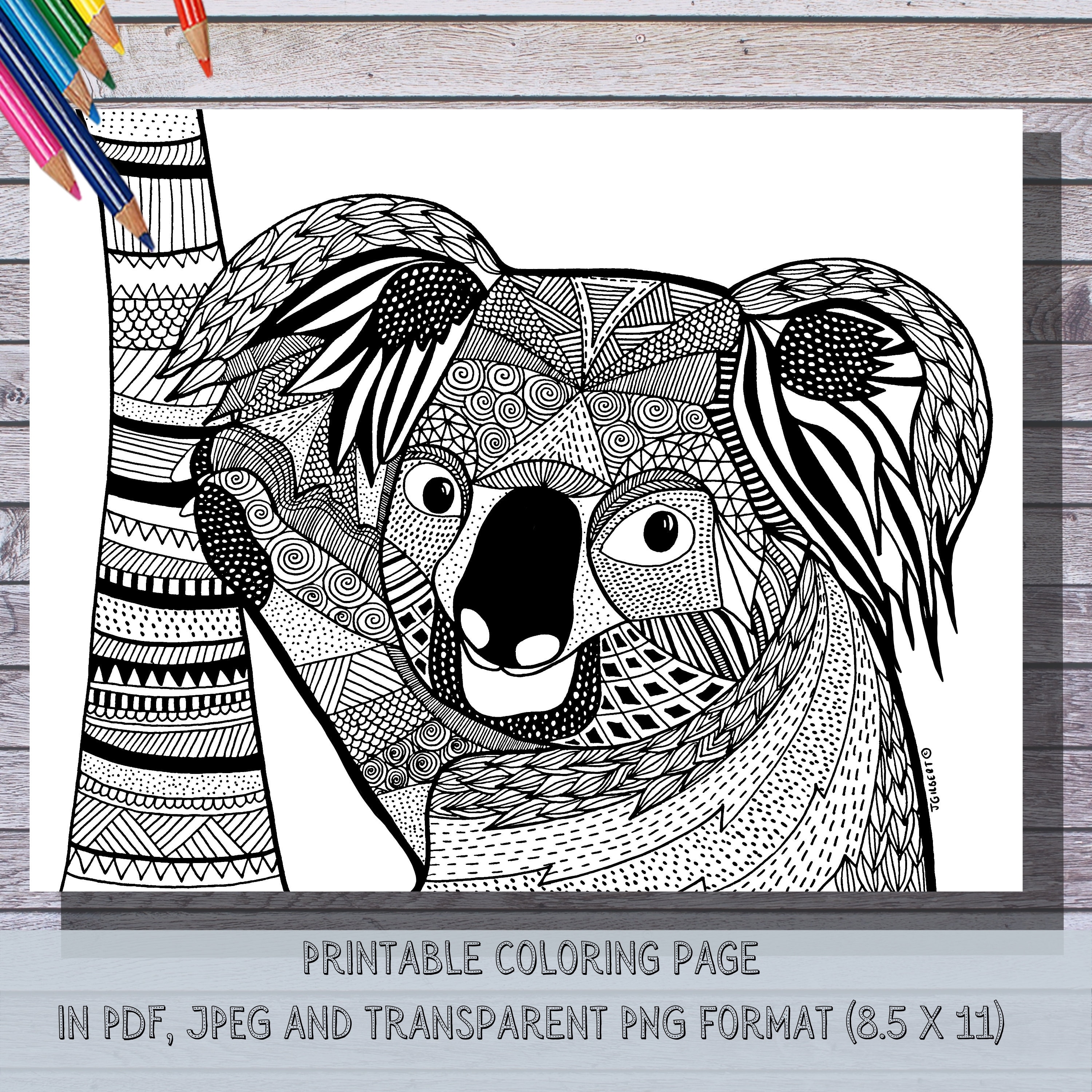 Realistic Koala Bear Coloring Pages