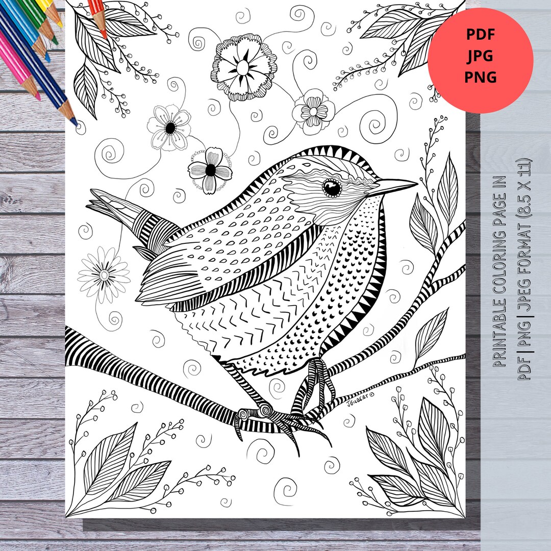 Beautiful Wren, Printable Coloring Page, Hand Drawn, Instant Download ...