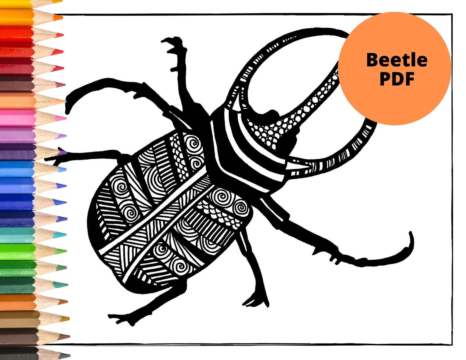 INSECT Coloring Pages PDF Download Coloring Book Printable - Etsy