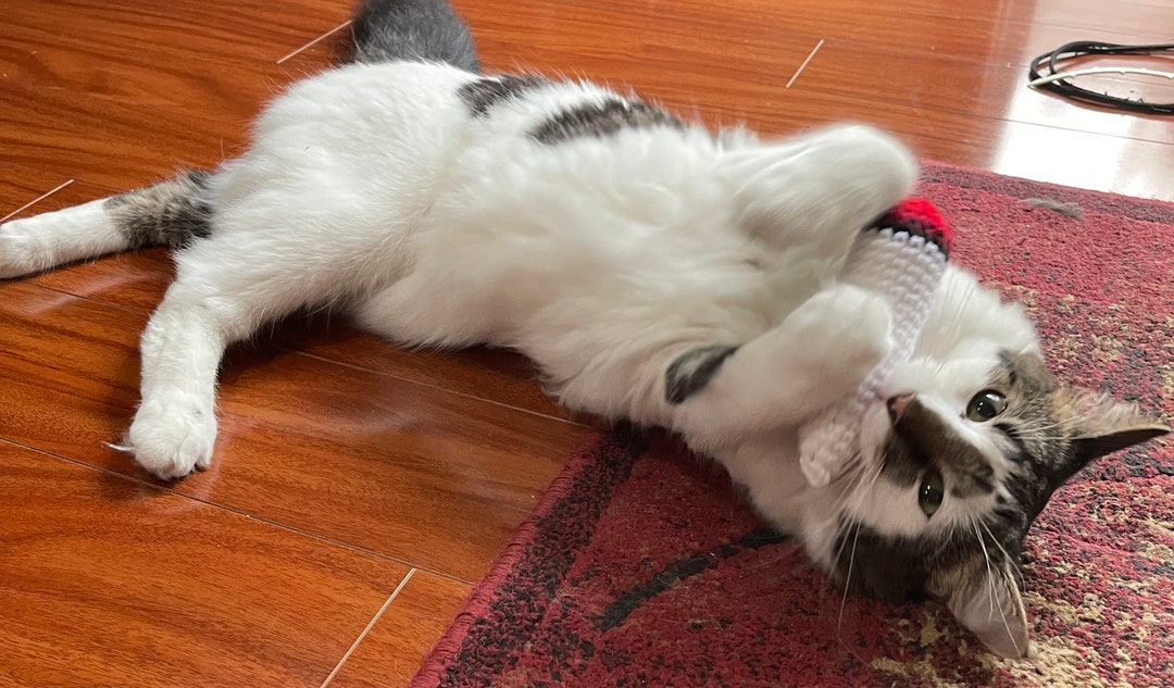 Catnip Doobie Joint Cat Toy (organic Catnip) - Etsy